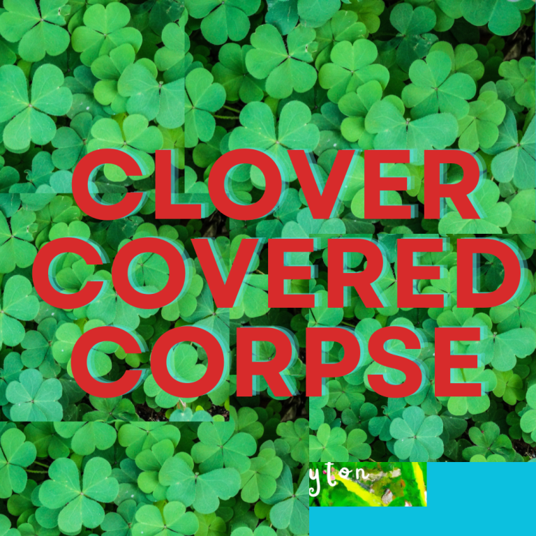 Blog – Jackie Layton