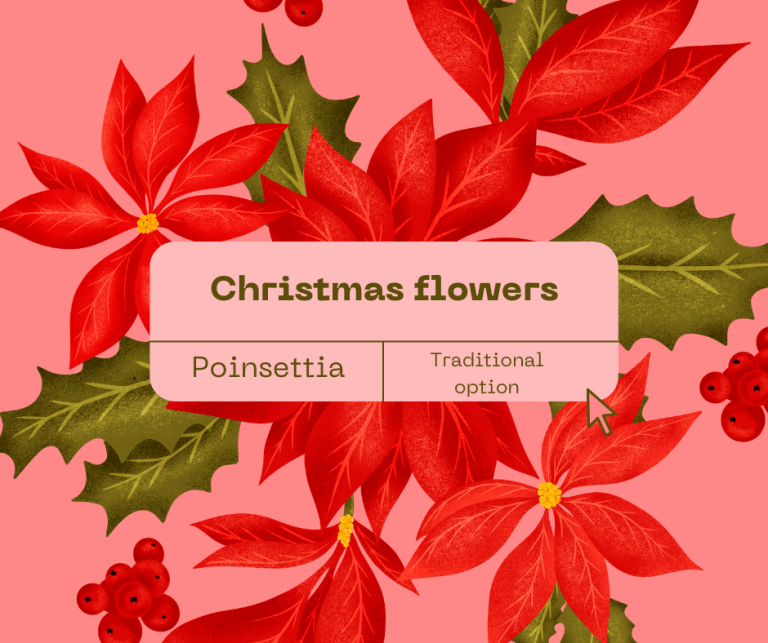 Christmas Flowers – Jackie Layton