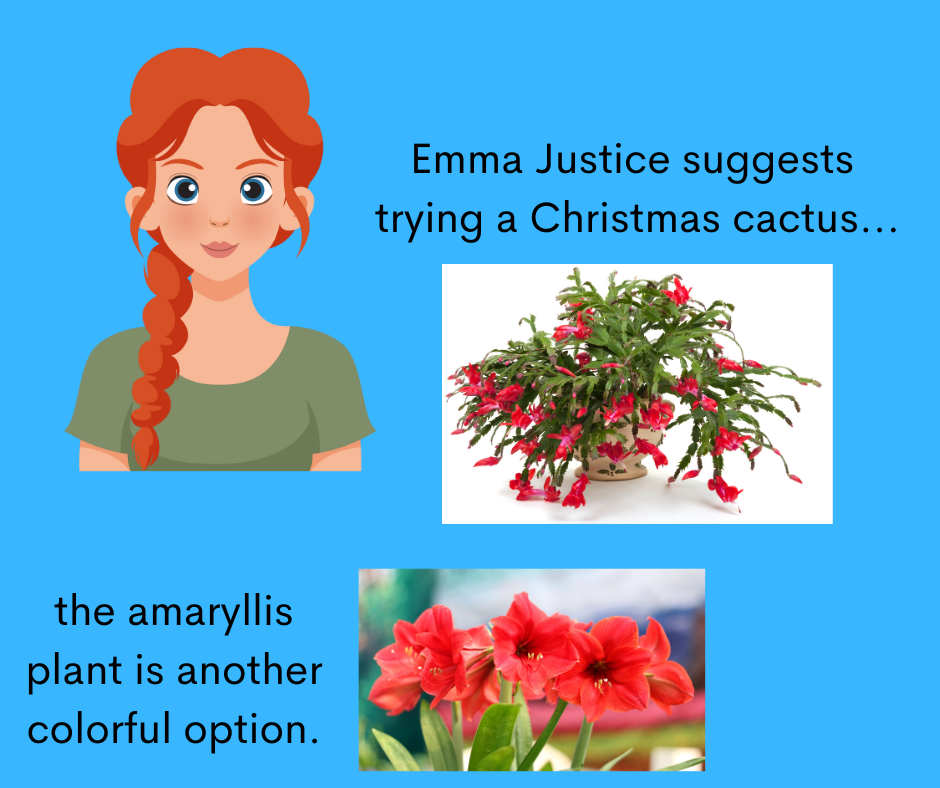 Blog – Jackie Layton